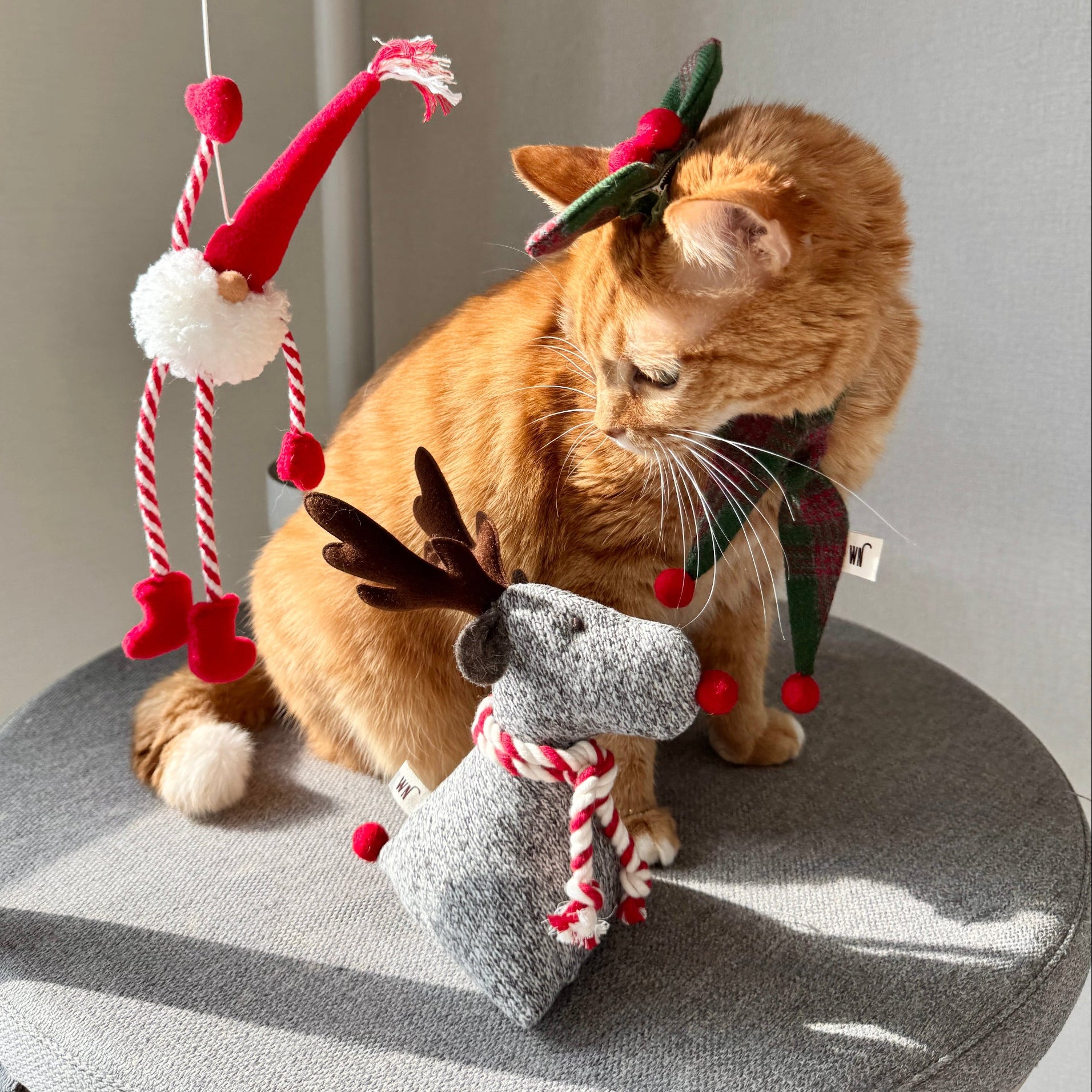 Rudolph Toy – Wetnose US