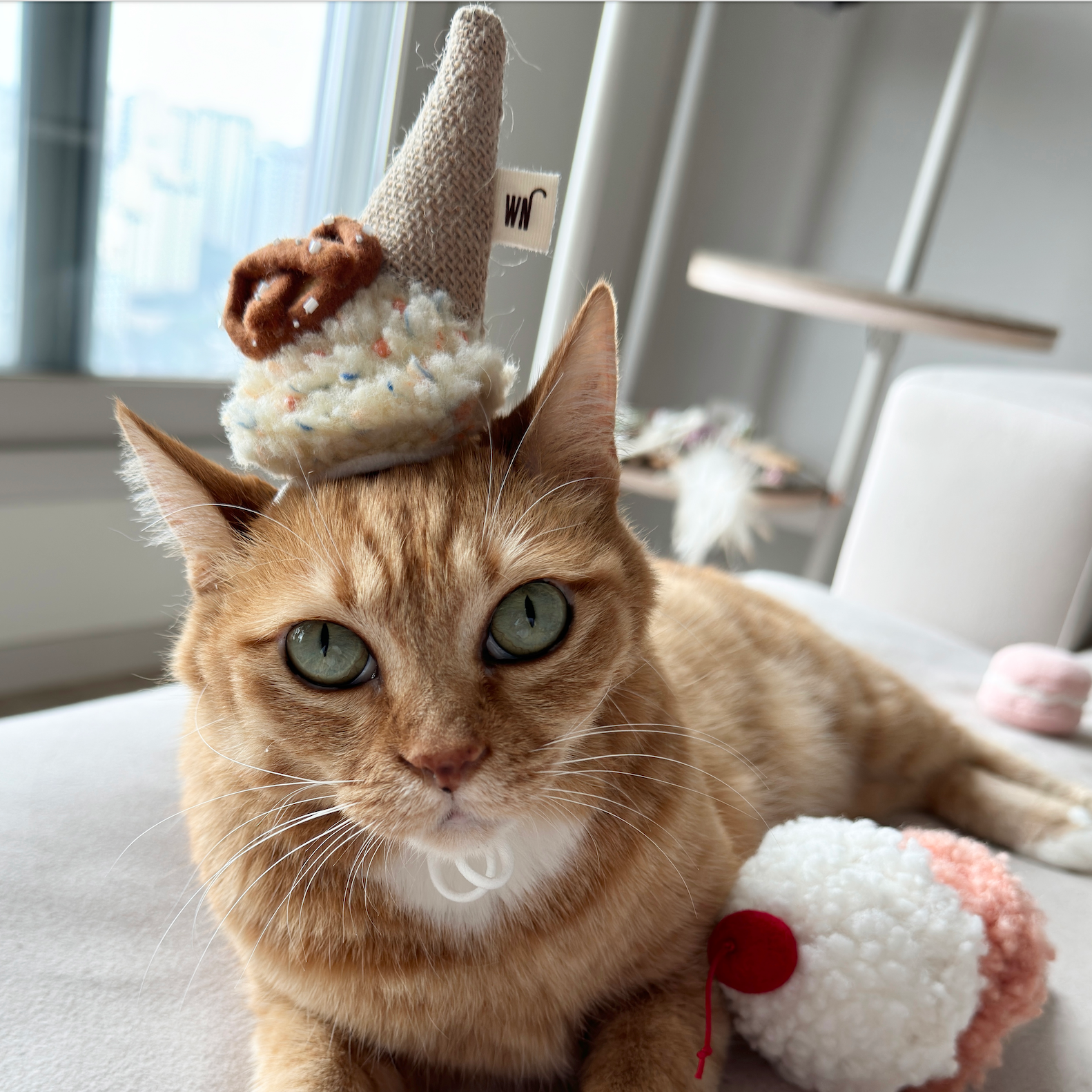 Ice Cream Headpiece – Wetnose US